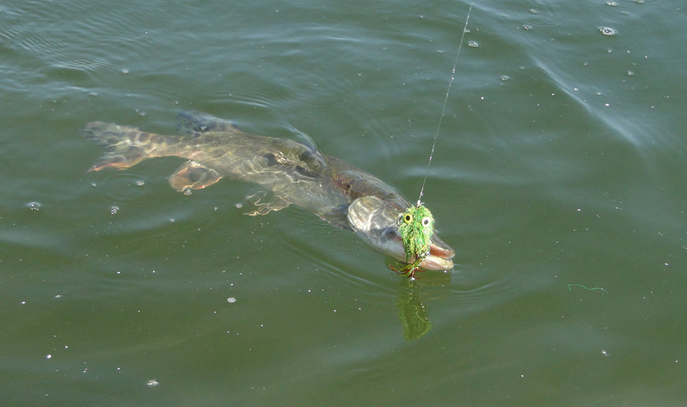 Fly Tyers Dungeon - Home of Unique Fly Tying Materials